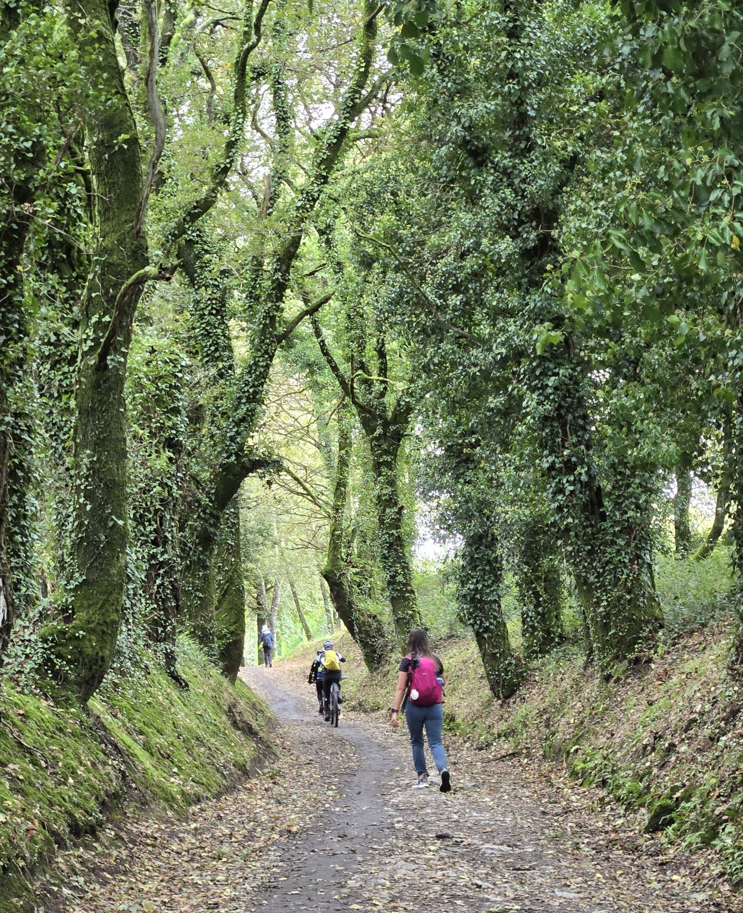 Folk behind the scenes | Jane & Lori's 2024 Camino de Santiago Walk – Sept 13 to Oct 16